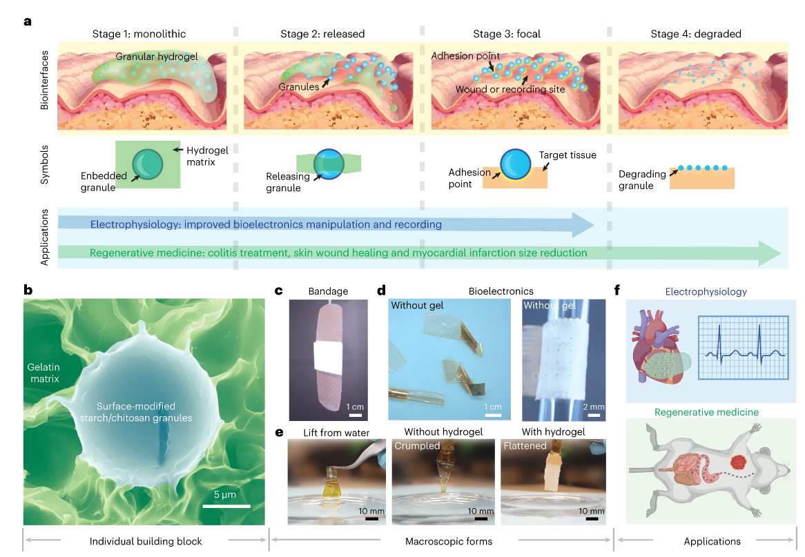 Our research paper on Monolithic-to-focal Evolving Biointerfaces in ...