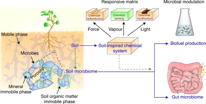 A Soil-Inspired Dynamically Responsive Chemical System for Microbial ...