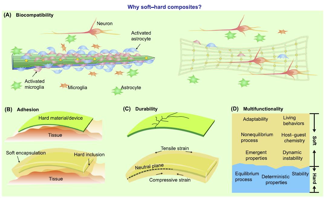 Soft–Hard Composites for Bioelectric Interfaces | Lin Group @ NUS