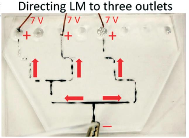 Steering Liquid Metal Flow in Microchannels Using Low Voltages | Lin ...